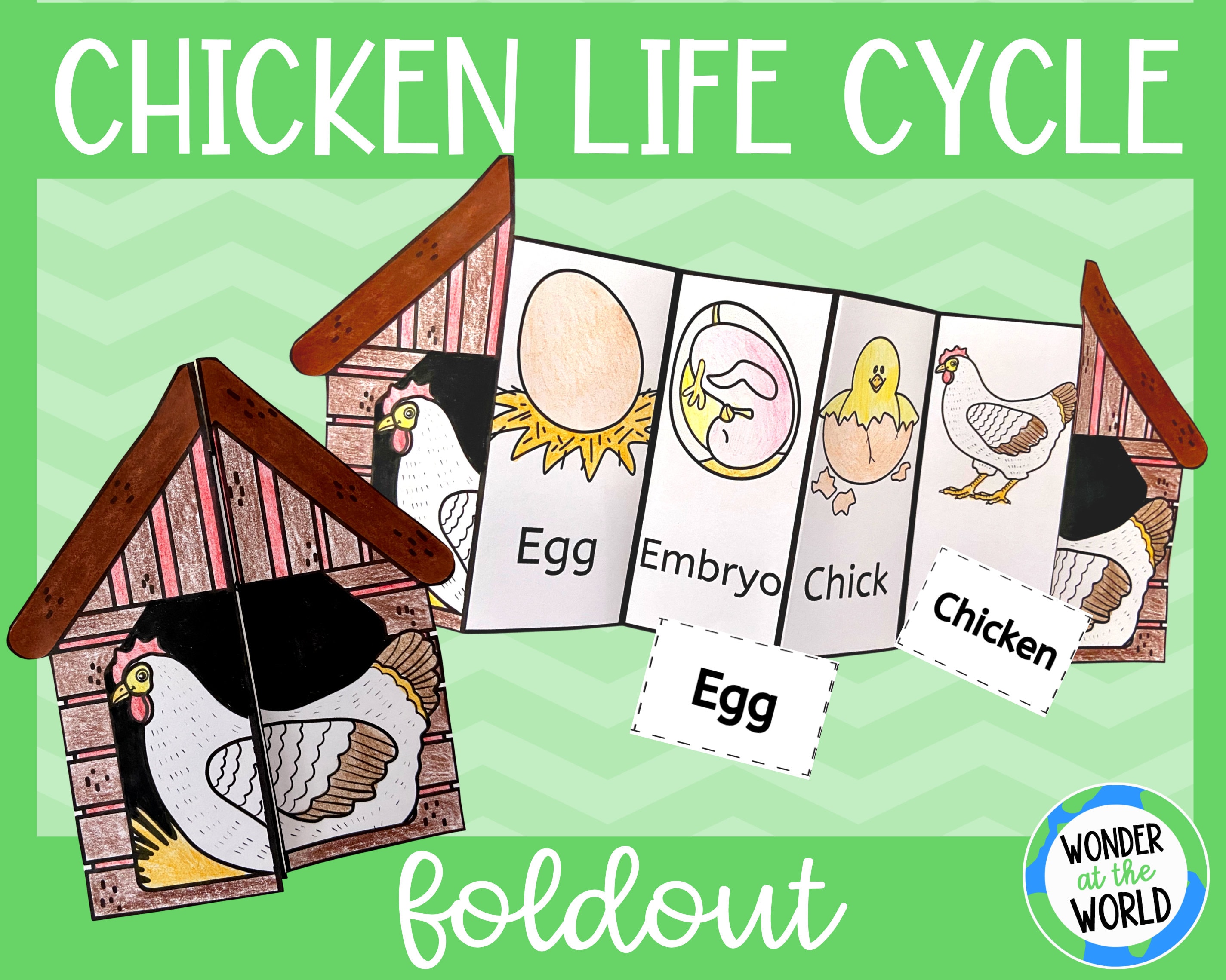 Life Cycle of a Chicken Foldable Kids' Craft A4 and | Etsy UK