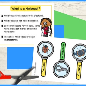 Minibeast Classroom Science Display Printables for Teachers | UK and US ...