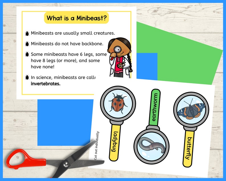 Minibeast Classroom Science Display Printables for Teachers | UK and US ...