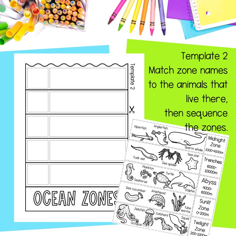 Ocean Zones Lesson With Slideshow Introduction and Foldable Activity ...