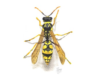 Wasp Art Printable, Wasp Decor, Wasp Print, Wasp Wall Art, Insect ...