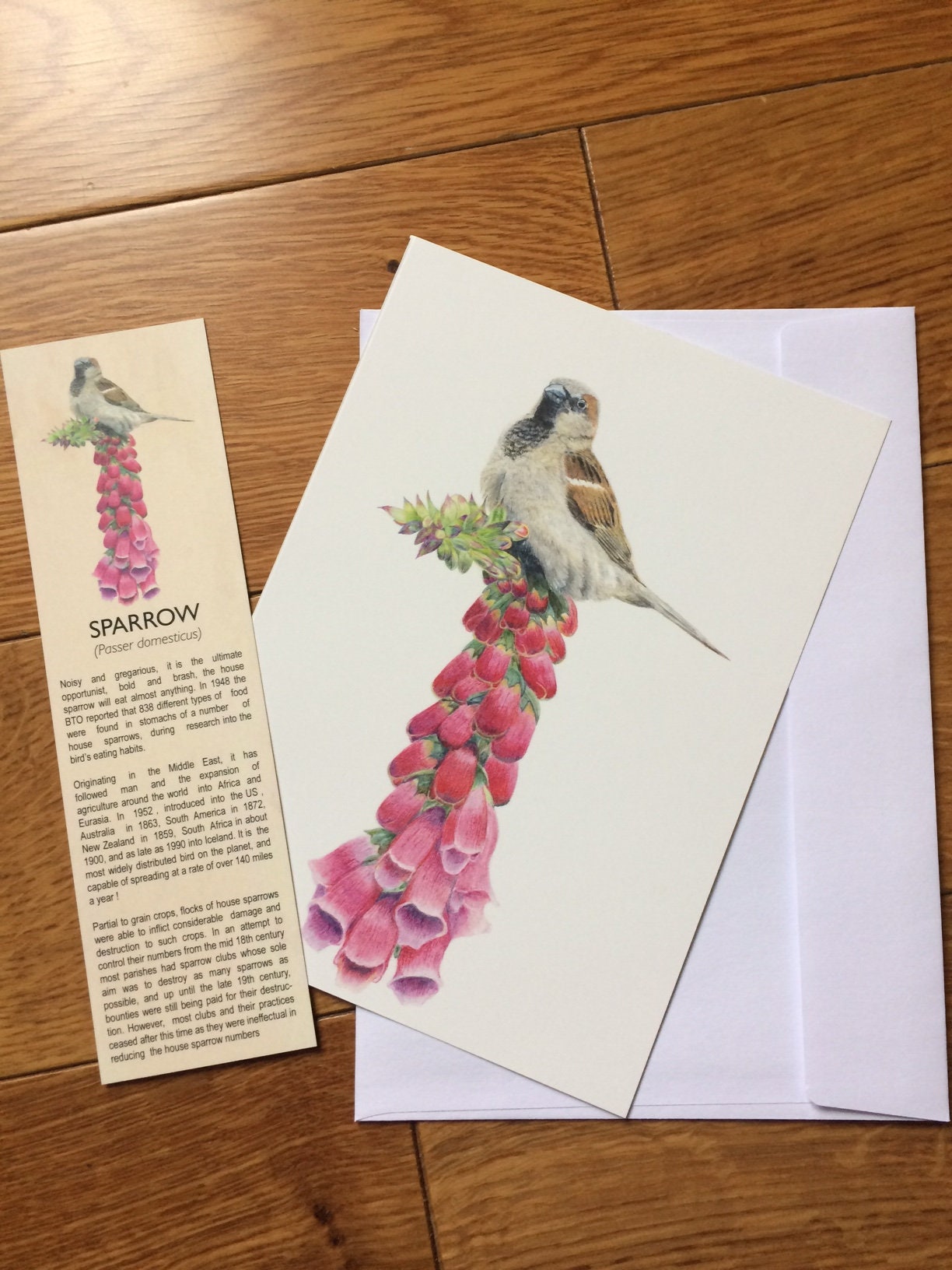 Garden Birds Greeting Cards With Bookmarks Pack of 6 - Etsy