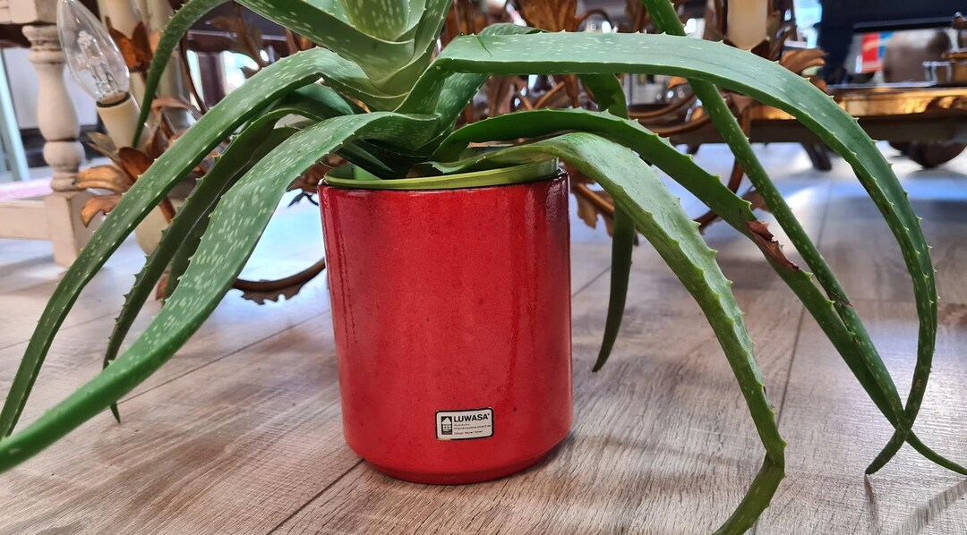 Luwasa Flowerpot Red Ceramic Design Rainer Schell Planter West-german ...