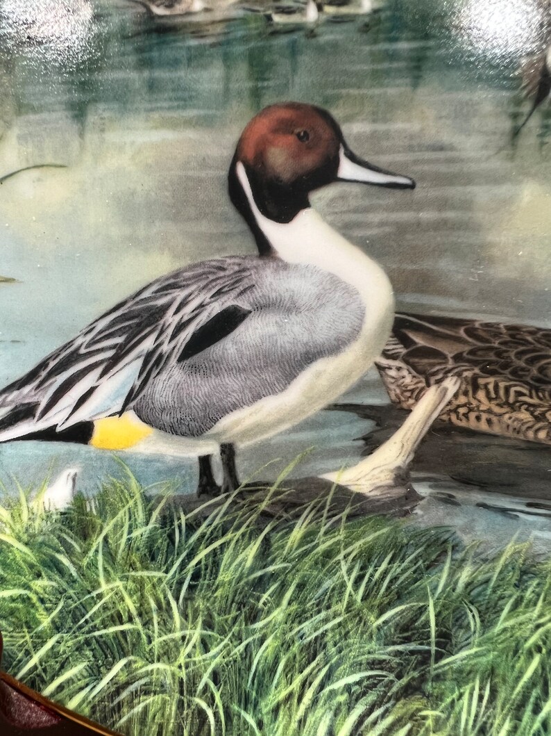 Bart Jerner the Pintail Collector Plate - Etsy