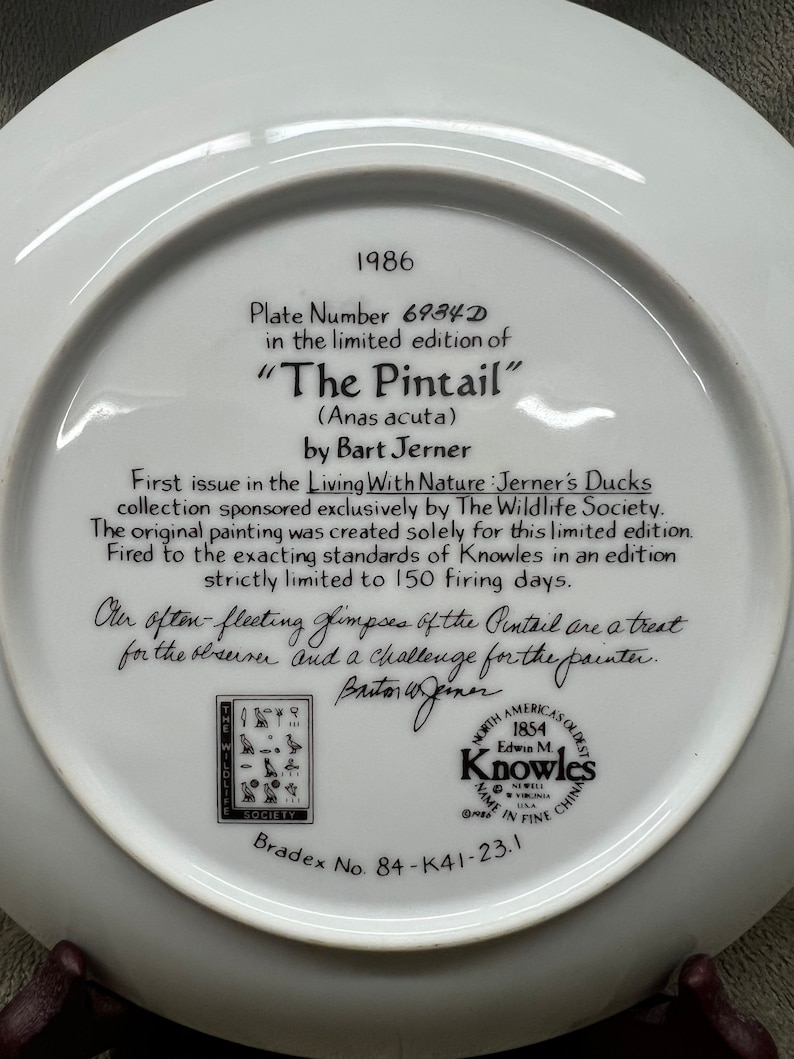 Bart Jerner the Pintail Collector Plate - Etsy