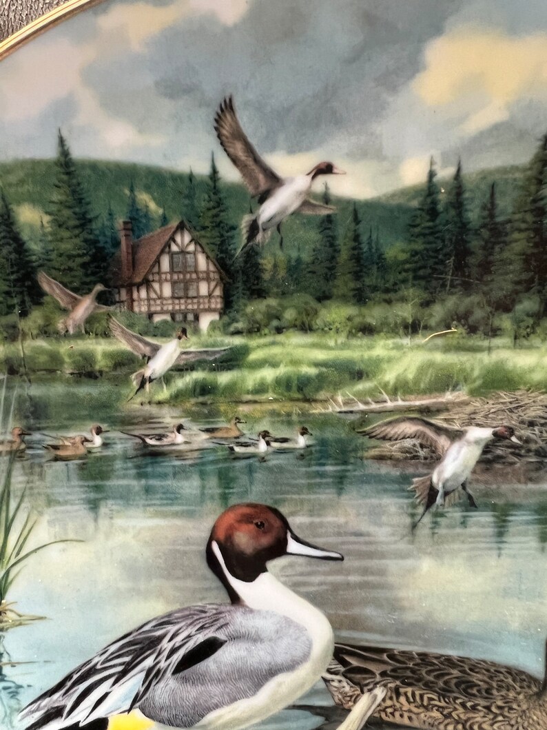 Bart Jerner the Pintail Collector Plate - Etsy
