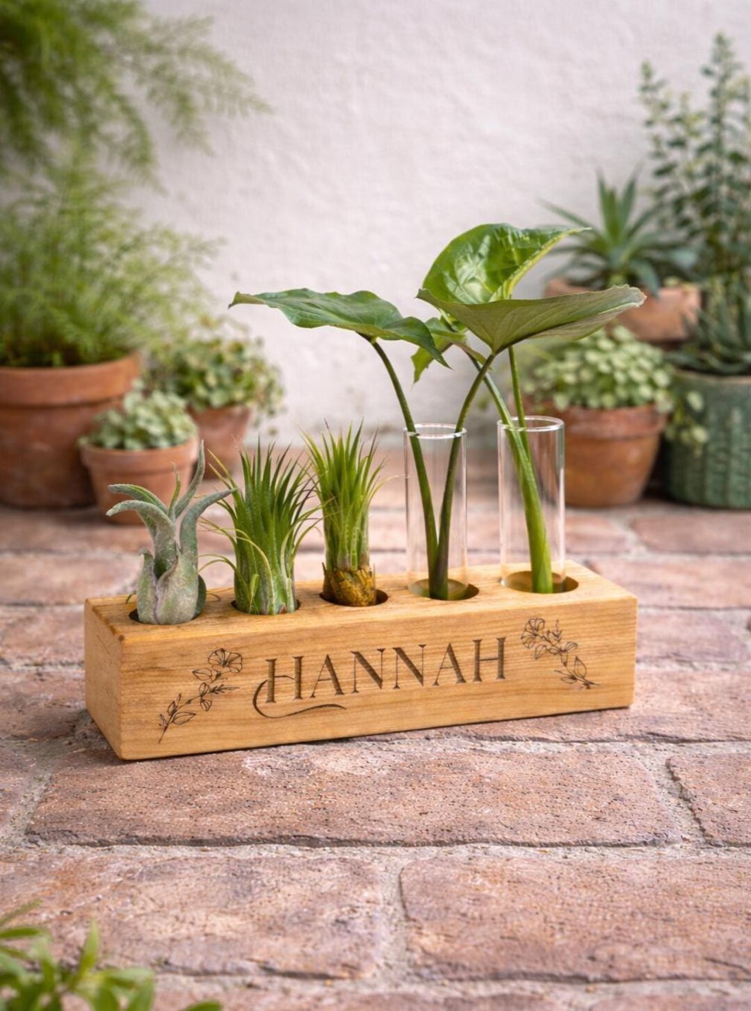 Personalized Birthday Gift Plant Propagation With Name and Birth Flower ...