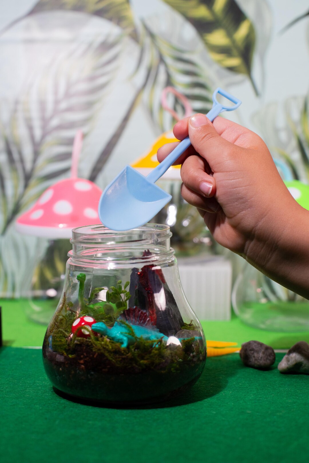 Dinosaur Terrarium Kit for Kids Educational Mini Terrarium Mimosa Seeds ...