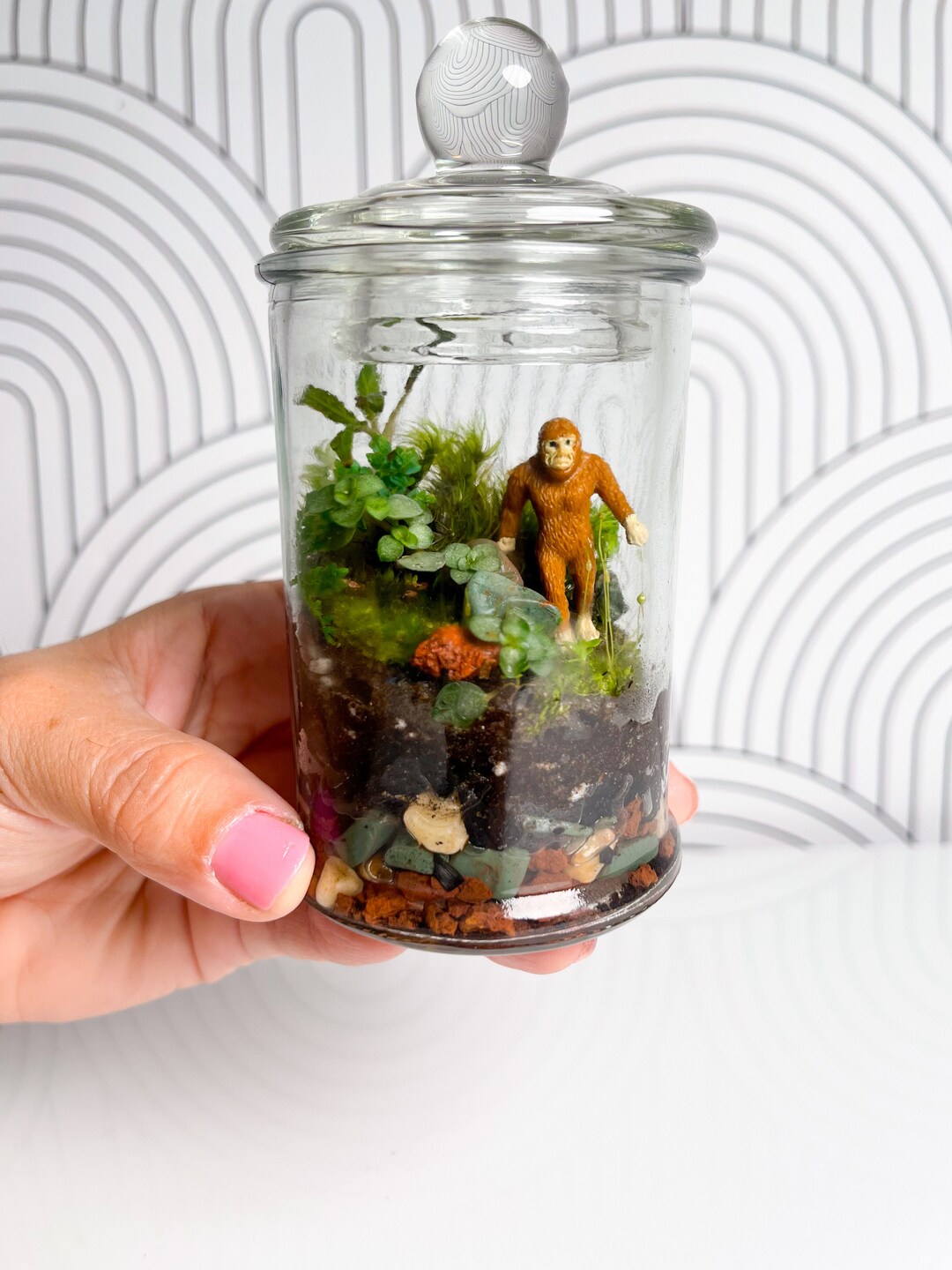 Terrarium Kit DIY Gift for Plant Lover Mini Terrarium With Live Moss ...