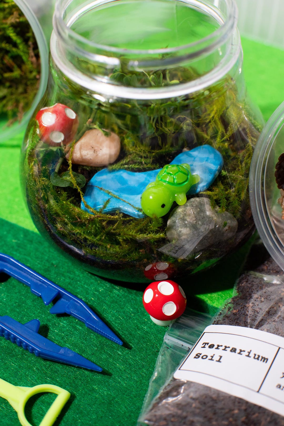 Terrarium Kit for Kids Educational Mini Terrarium Mimosa Seeds Live ...