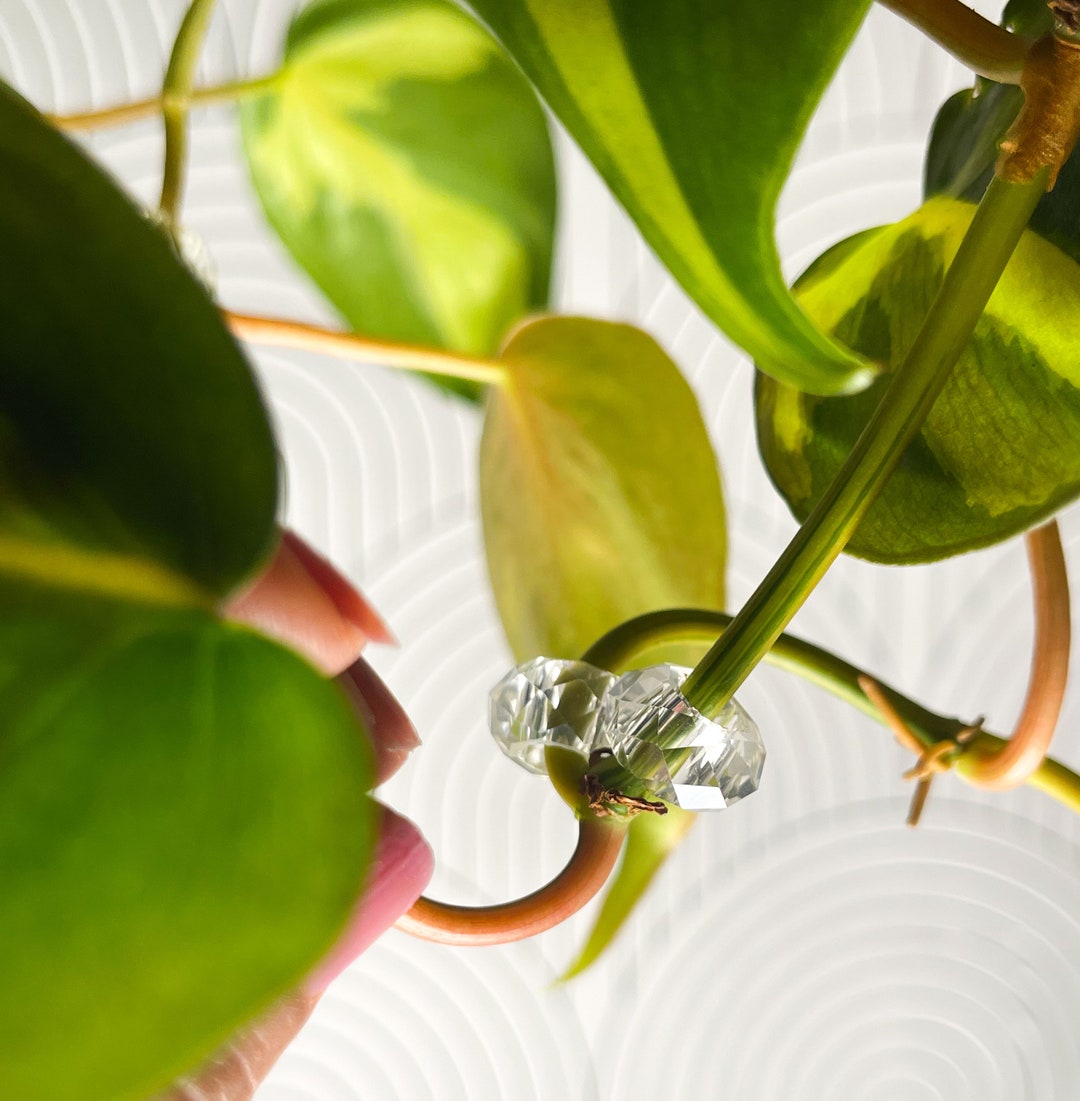 Crystal Plant Gems, Plant Charms, Plant Beads, Crystal Suncatcher Heart ...