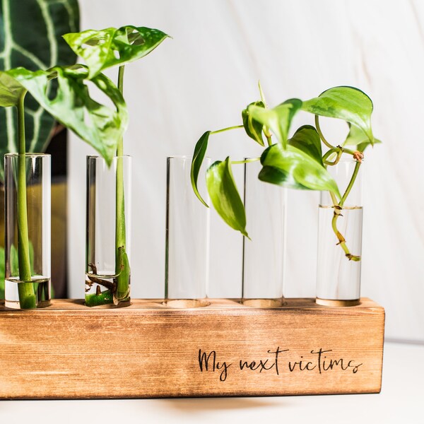 Plant Propagation Station - Etsy
