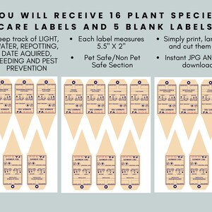 Printable Plant Care Tags Instant Download for Houseplants Propagation ...
