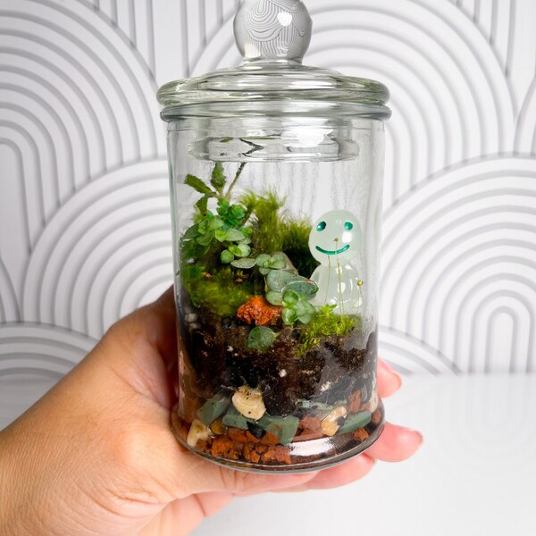 Terrarium Kit - Etsy