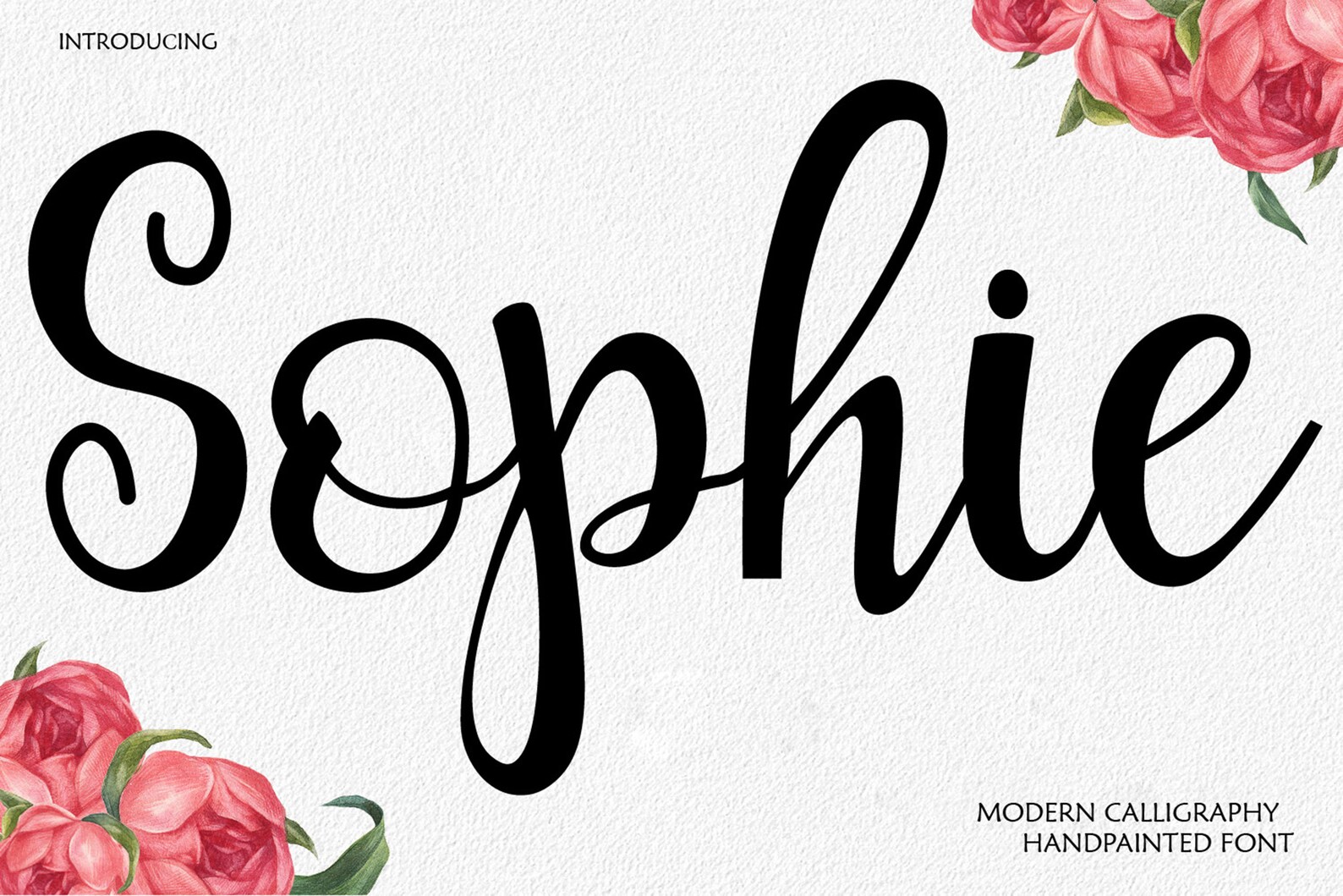 Schriftart sophie download Schriftart Kalligrafie | Etsy