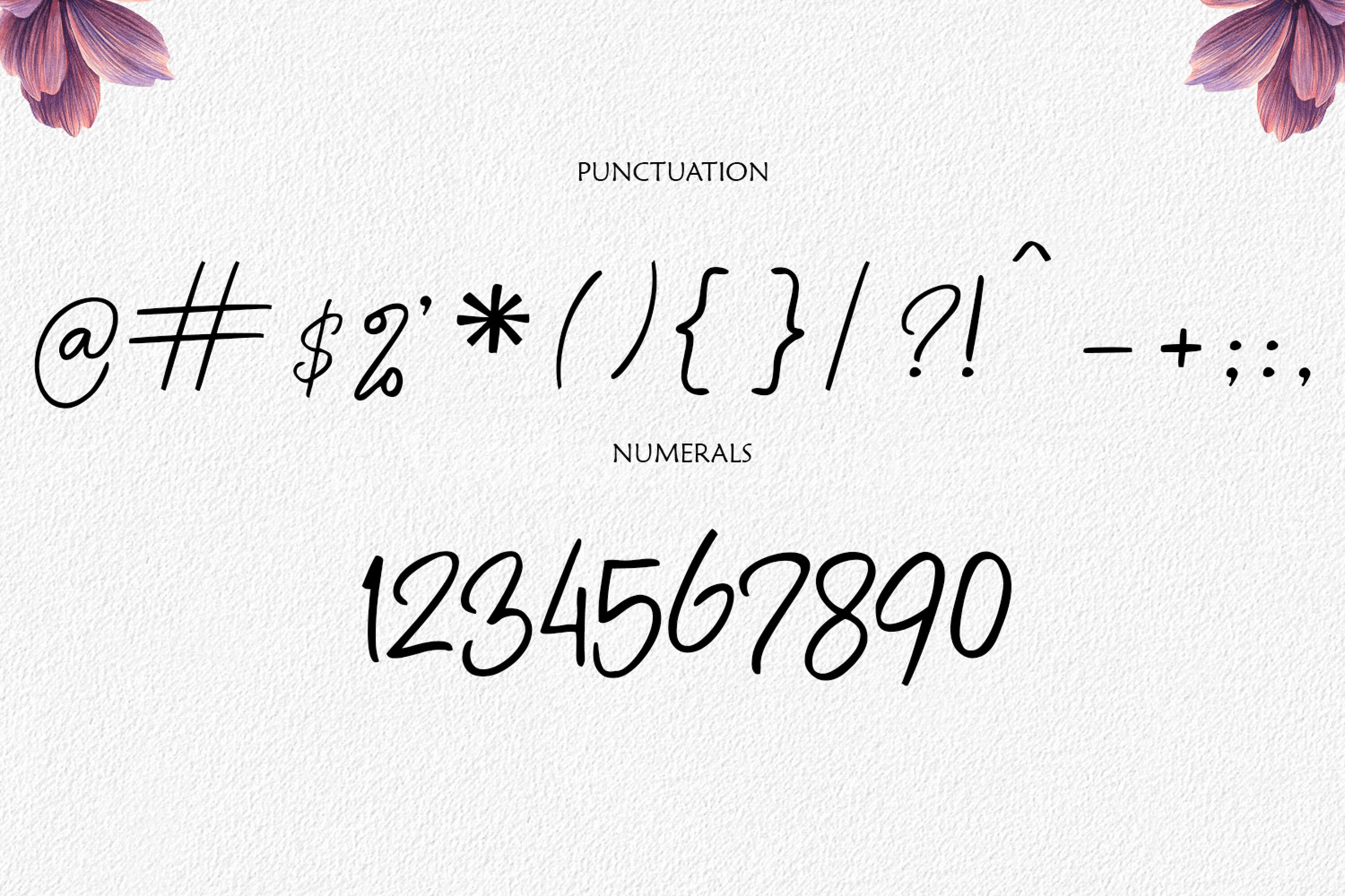 Font Fonts Alyssa Download Digital Font Calligraphy Font | Etsy