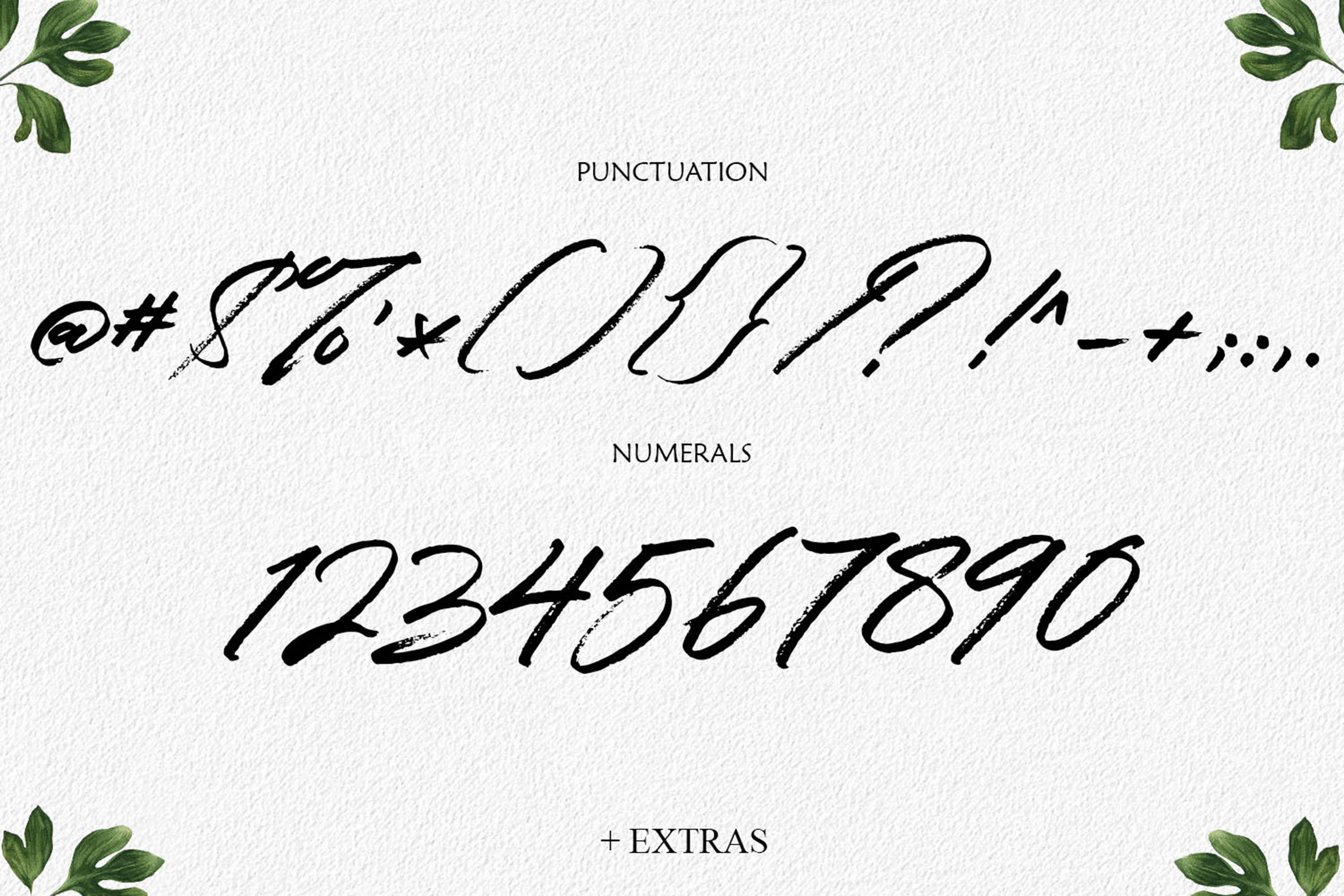 Font Fonts Aaliyah Download Digital Font Calligraphy Font | Etsy