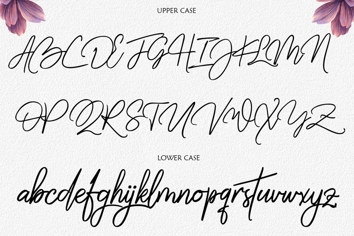 Font Fonts Alyssa Download Digital Font Calligraphy Font | Etsy