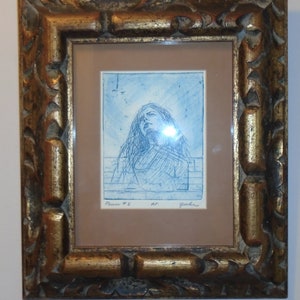 Lee Nesler Original Art Ink Drawing Beauty Peacock Confined Framed ...