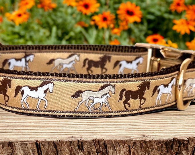 Horse Theme Dog Collar - Etsy