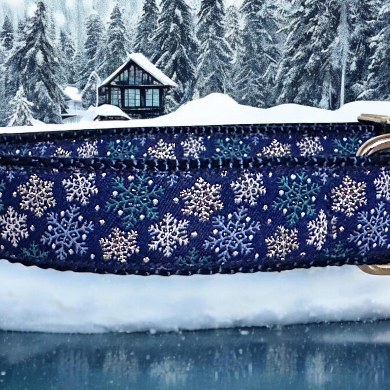 Winter 1 Inch Dog Collars - Etsy