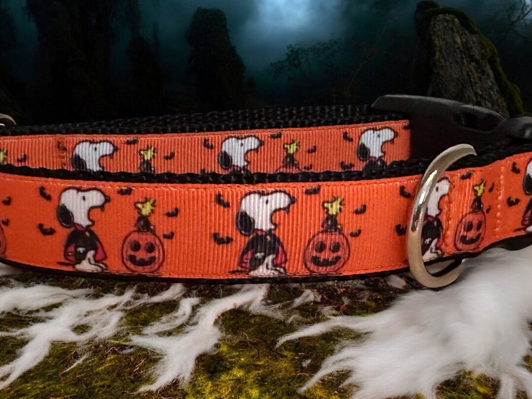 Vampire White Beagle Dog Collar - Etsy