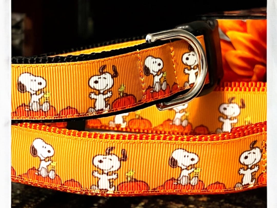 White Beagle Fall Dog Collar: Pumpkin Patch Design, Handmade - Etsy