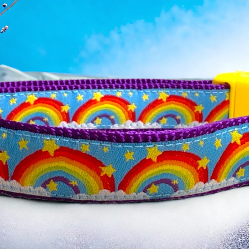 Colorful Dog Collar - Etsy