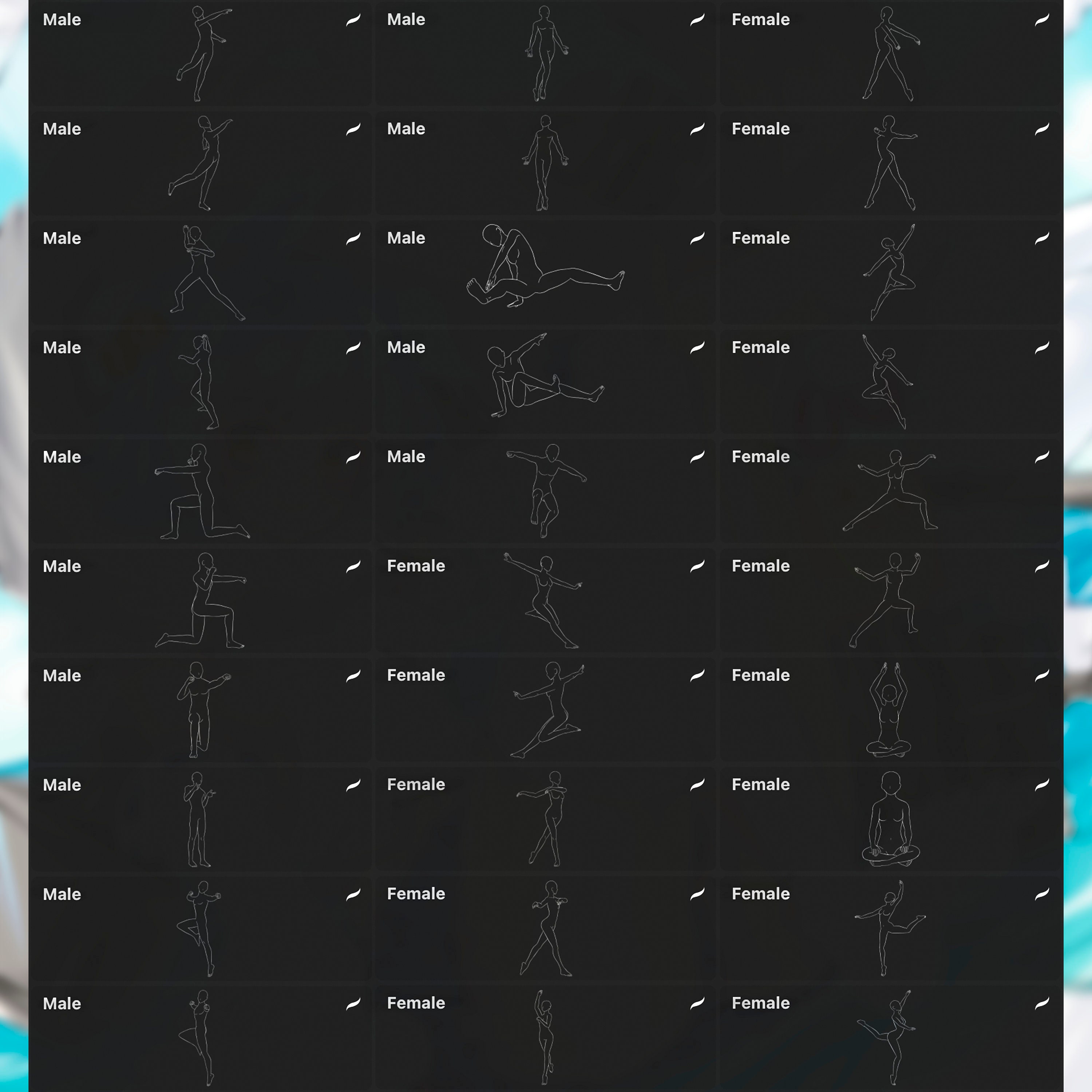 90+ Realistic Male and Female Body Poses Stamps for Procreate, Body ...