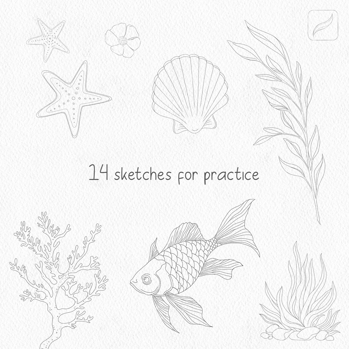 Realistic Triton Watercolor Brushes for Procreate | Includes Water ...