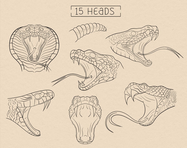 56 Snake Brushes for Procreate | Scales, Structure, Snake Body ...