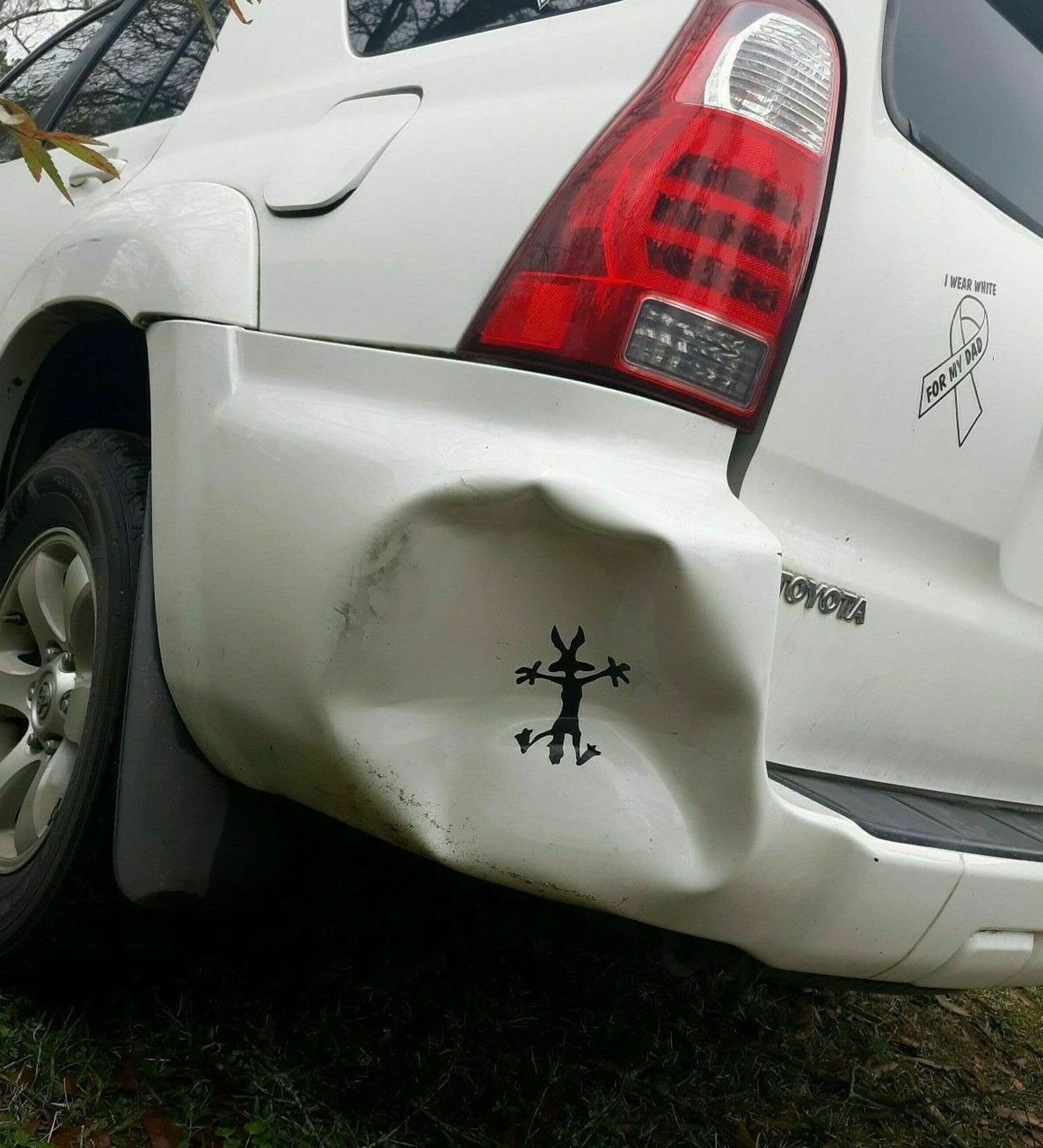 HITTING WALL SPLAT Wiley Dent Cover Wile E Coyote Hitting - Etsy Canada