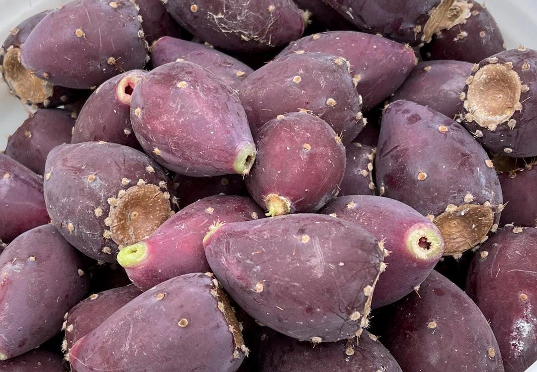 10 Lbs Prickly Pear Fruit / Tunas (wild Harvested) - Etsy