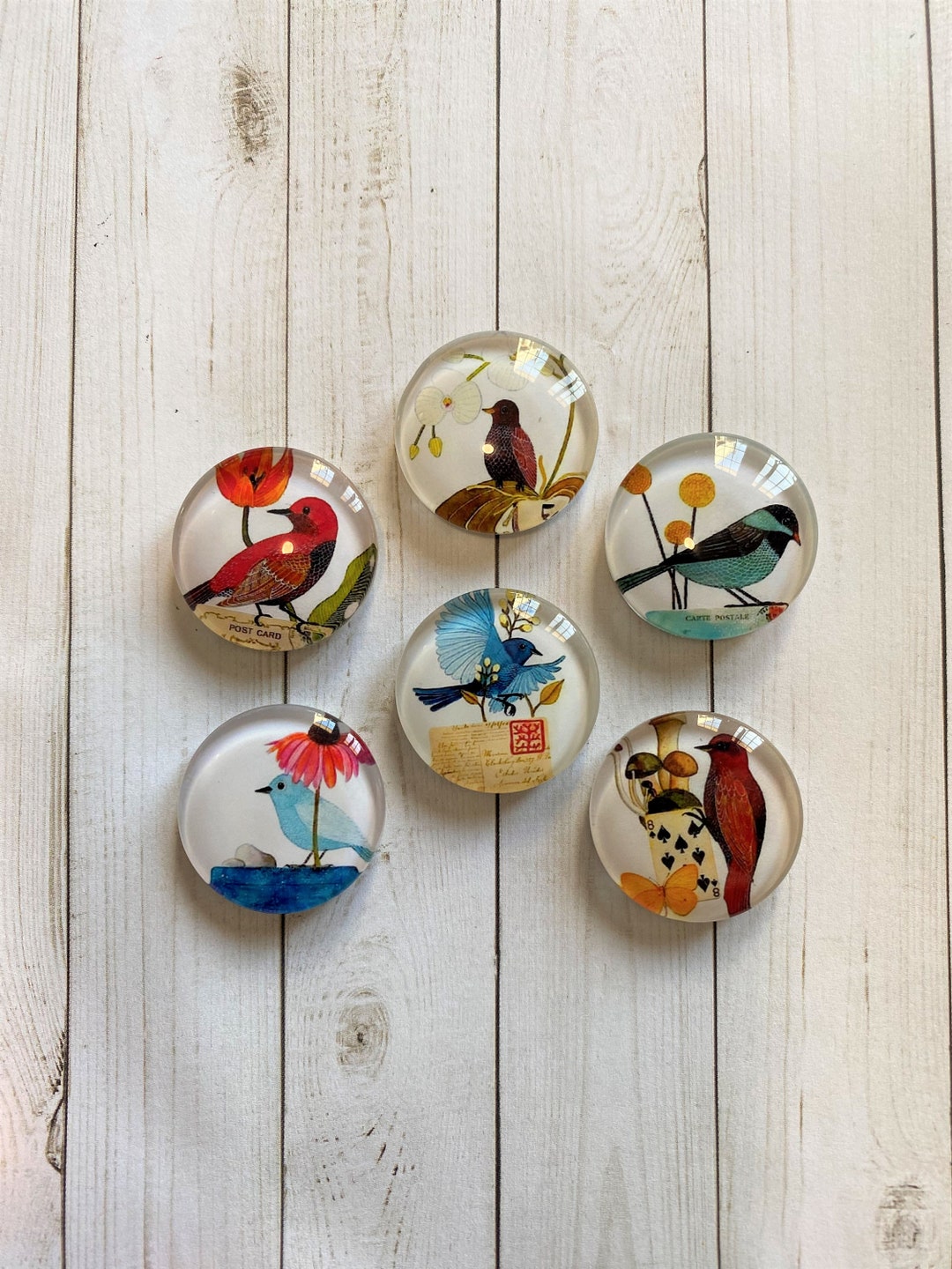 Bird Magnets - Bird Lover Magnets - Bird Decor - Kitchen Magnets ...