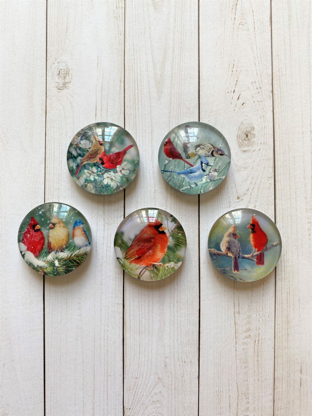 Cardinal Magnets Bird Magnets Winter Magnets Small Gift - Etsy