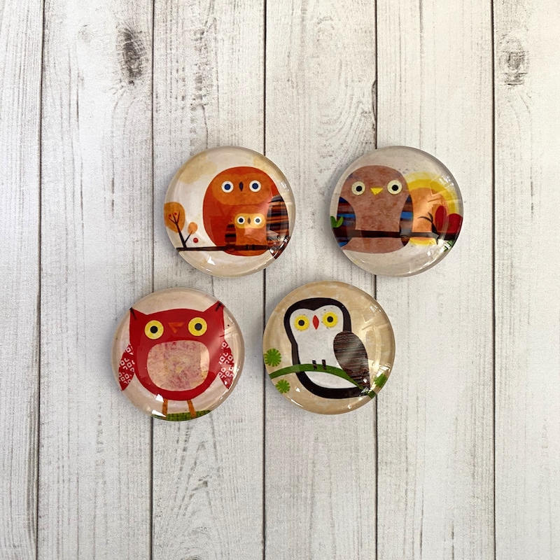 Owl Magnets - Etsy