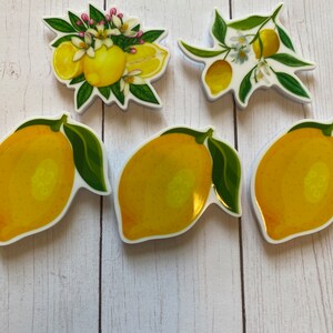 Lemon Magnets - Lemon Decor - Lemon Stuff - Summer Decor - Lemon Lover ...