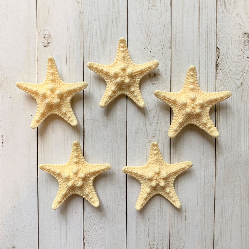 Sea Life Magnets - Etsy