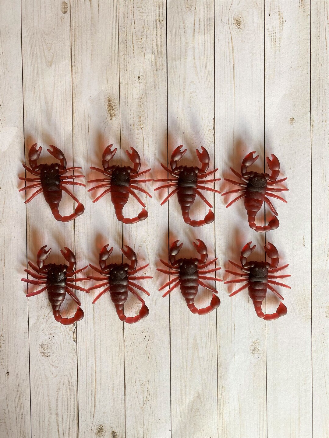 Scorpion Magnets Bug Magnets Arachnid Magnets Creepy Magnets Halloween ...