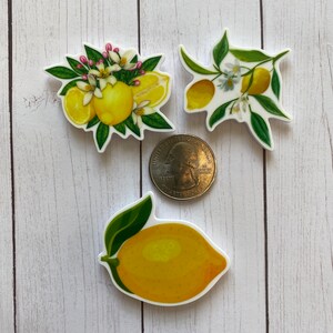 Lemon Magnets - Lemon Decor - Lemon Stuff - Summer Decor - Lemon Lover ...