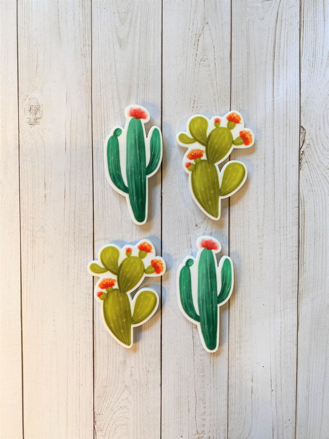 Cactus Magnets Succulent Magnets Plant Magnets Plant - Etsy