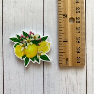 Lemon Magnets - Lemon Decor - Lemon Stuff - Summer Decor - Lemon Lover ...