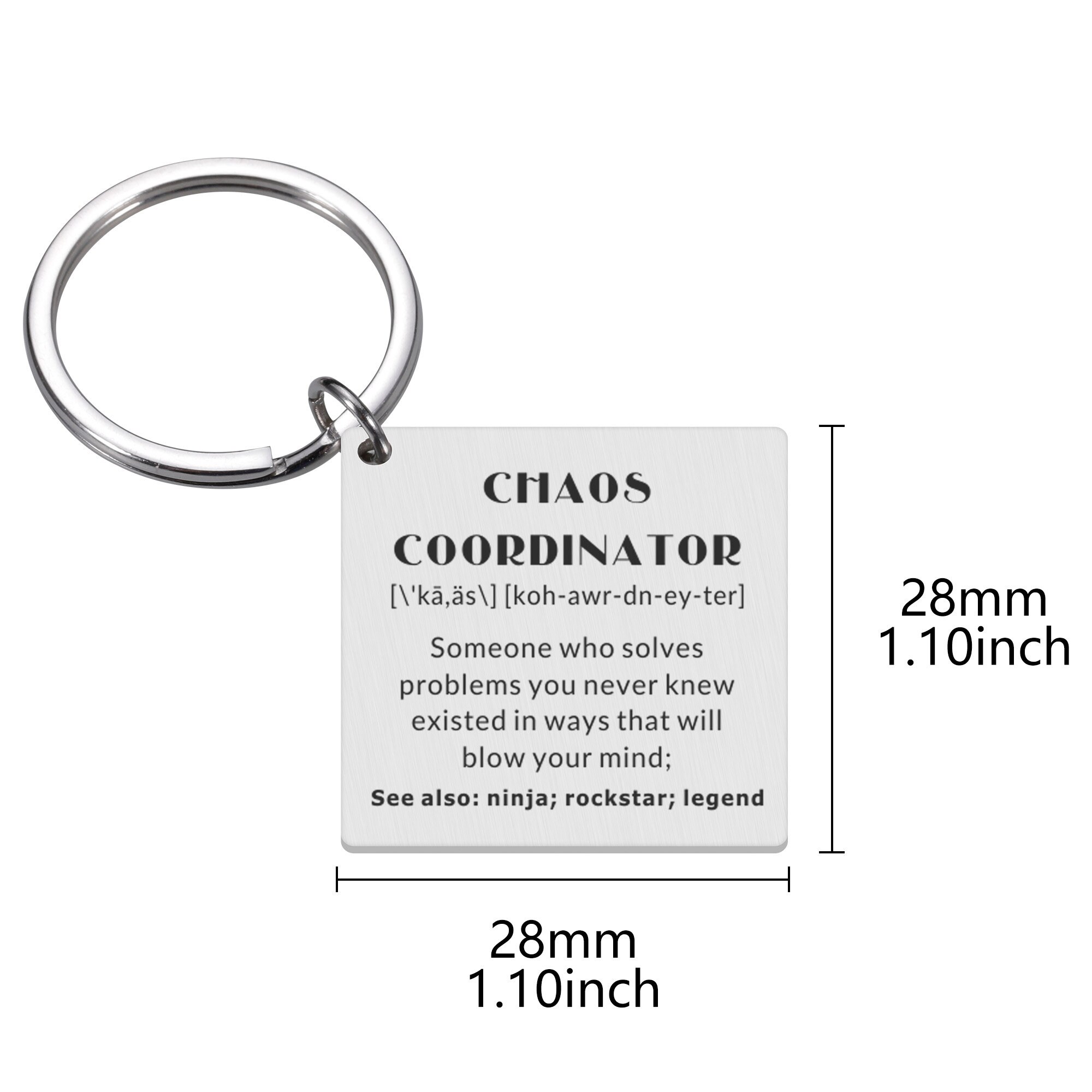 Chaos Coordinator Definition, Coworker Gift, Organizer Gift ...