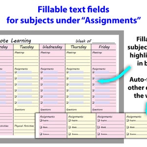 Remote/distance/virtual Learning Planner Pages for Middle-school/high ...