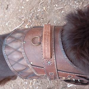 Leather Pattern Dog Harness Template DIY Pet Armor Template - Etsy