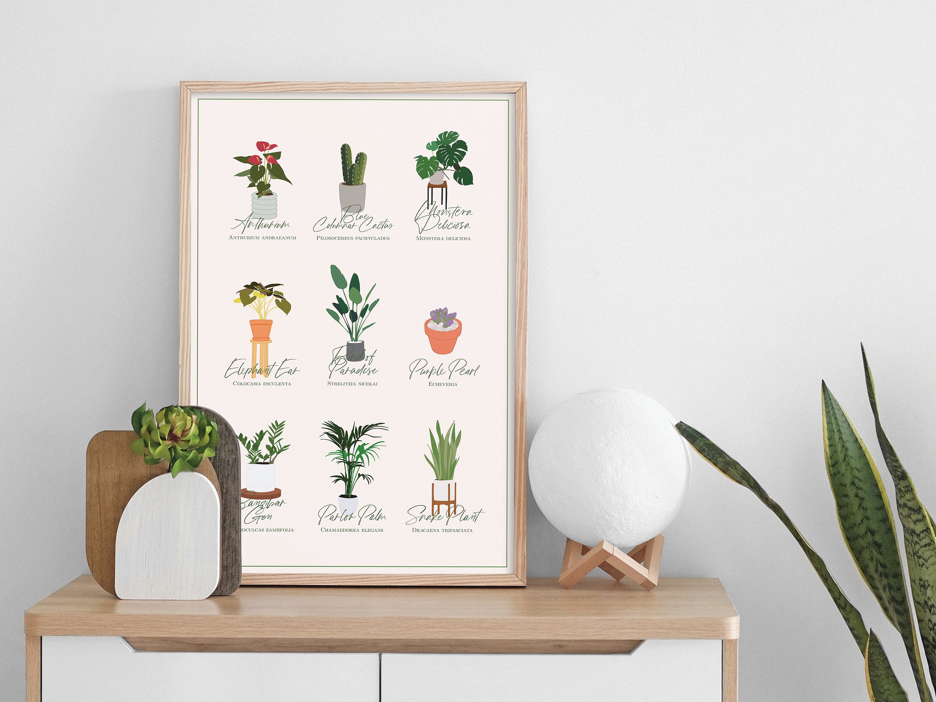 30 House Plant Clip Art Digital Set - High-quality PNG - Greenery ...