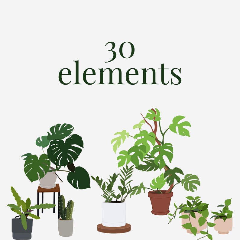 30 House Plant Clip Art Digital Set - High-quality PNG - Greenery ...