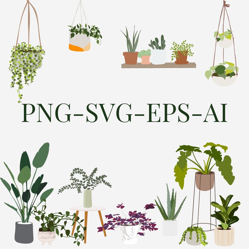 30 House Plant Clip Art Digital Set - High-quality PNG - Greenery ...