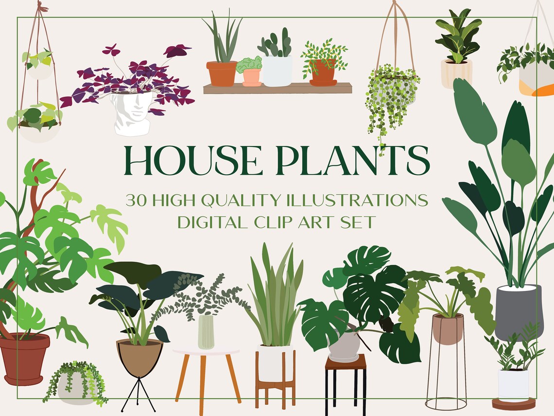 30 House Plant Clip Art Digital Set High-quality PNG - Etsy
