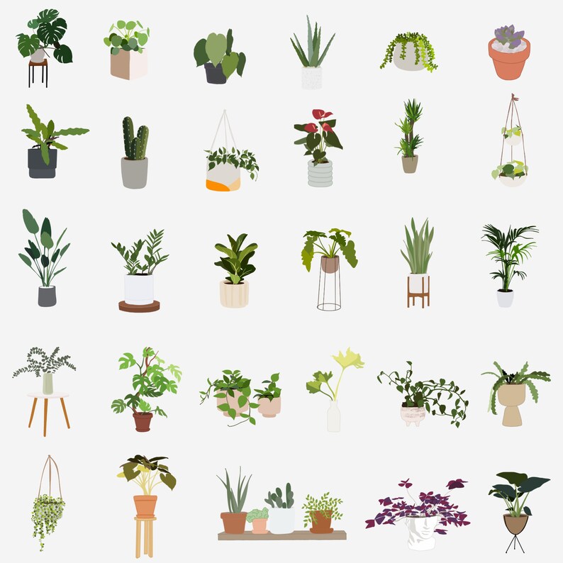 30 House Plant Clip Art Digital Set - High-quality PNG - Greenery ...